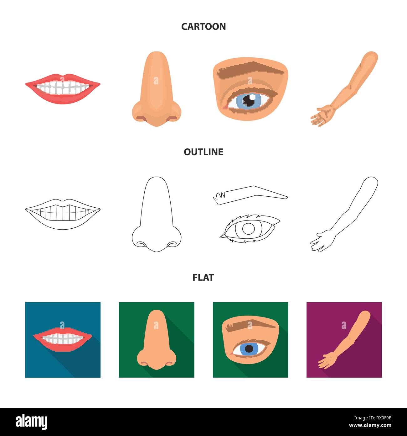Vector design of body and part sign. Set of body and anatomy stock ...