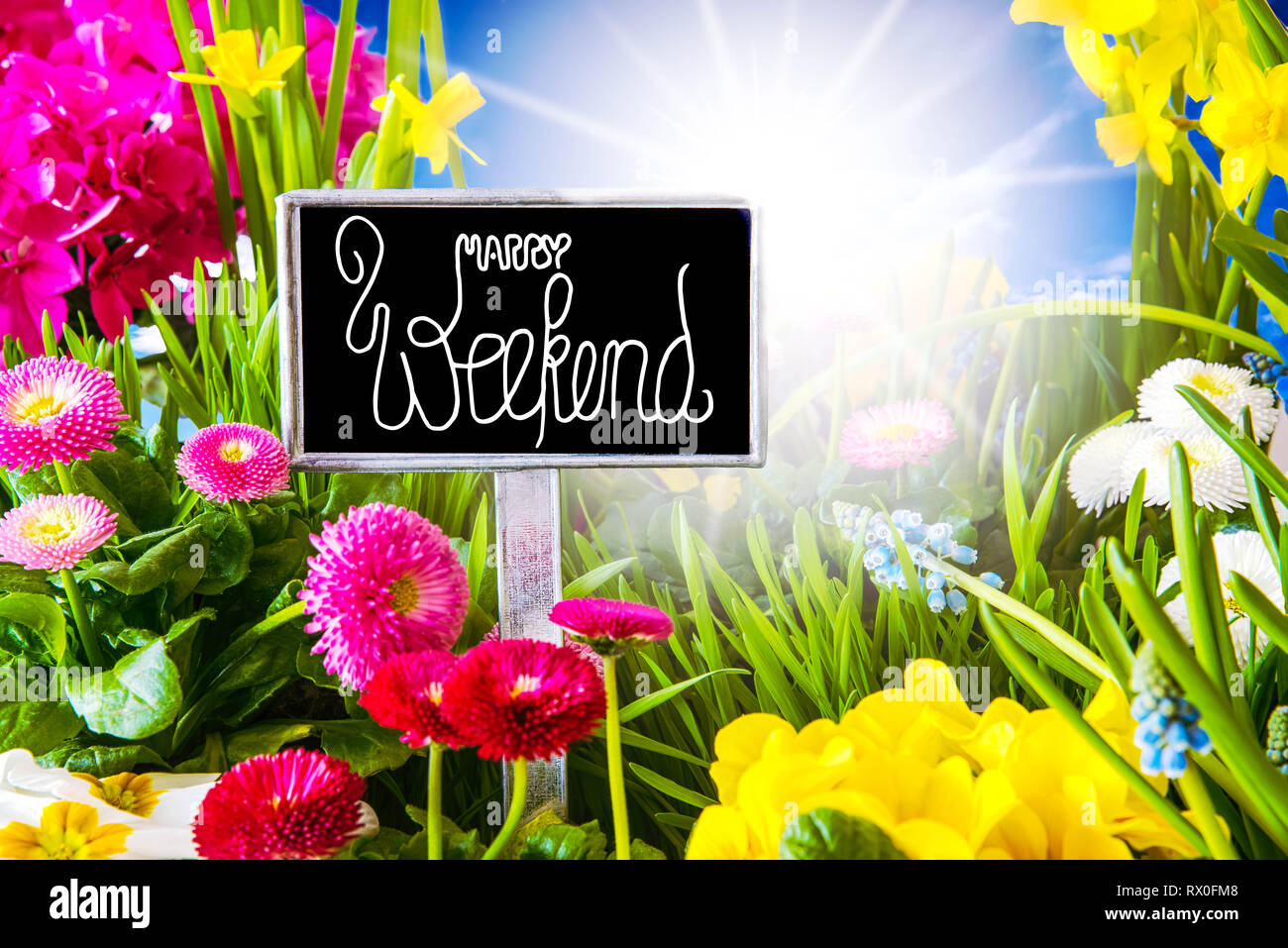 Happy sunny friday hi-res stock photography and images - Alamy