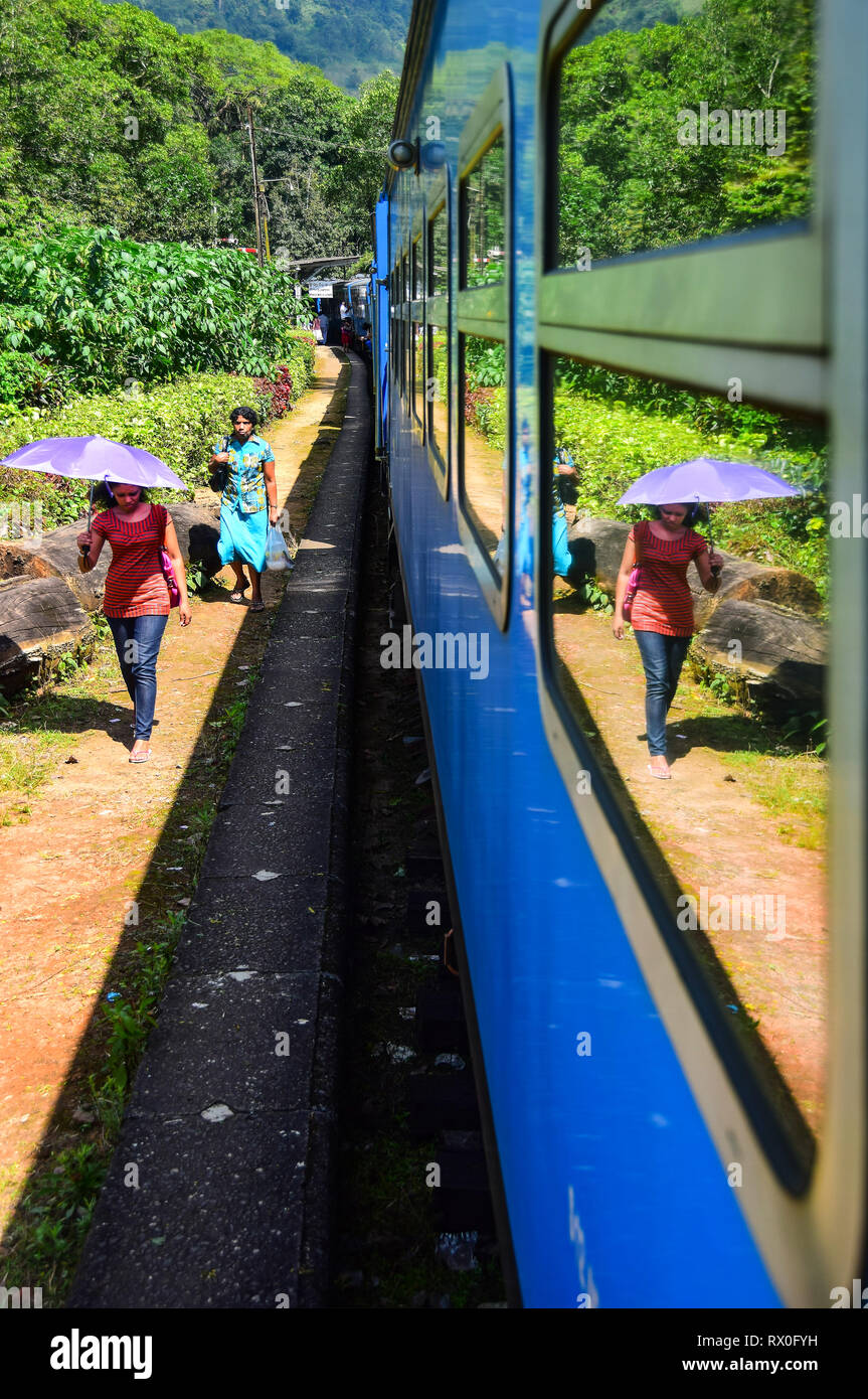 Sri Lankan Blue Train ride heading through hill country and tea ...
