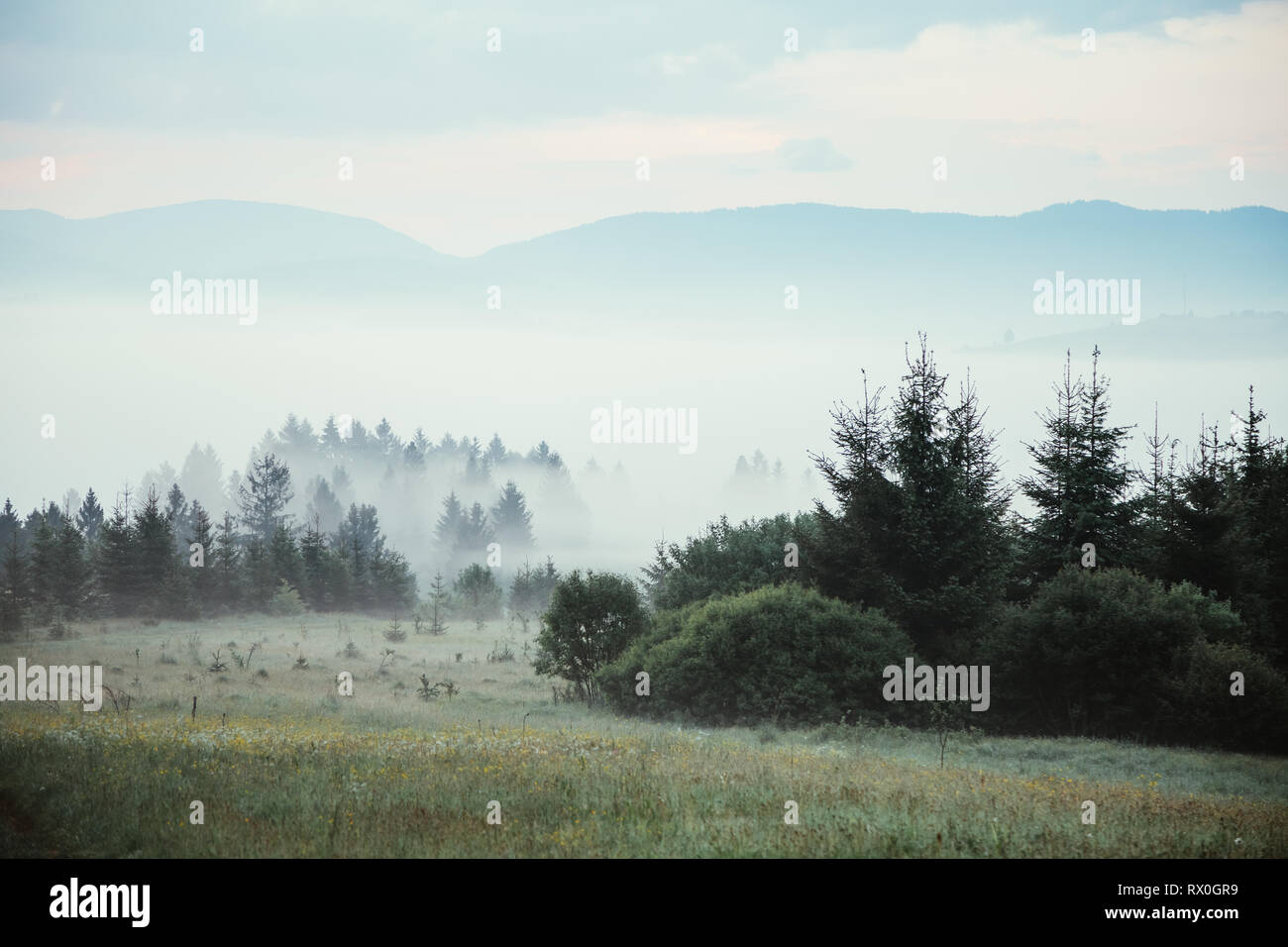 Gloomy morning with dramatic and picturesque scene. Location place ...