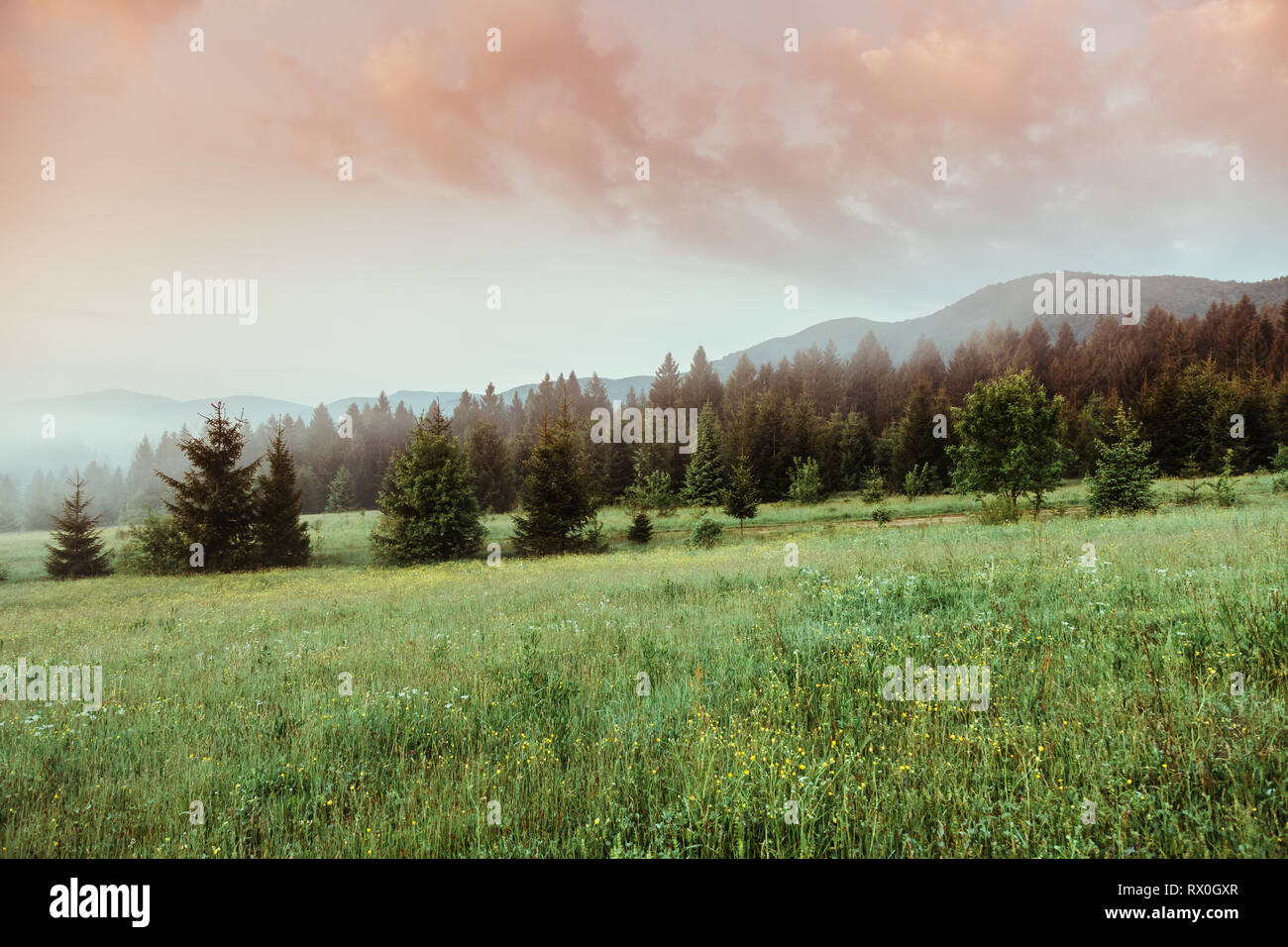 Gloomy morning with dramatic and picturesque scene. Location place ...