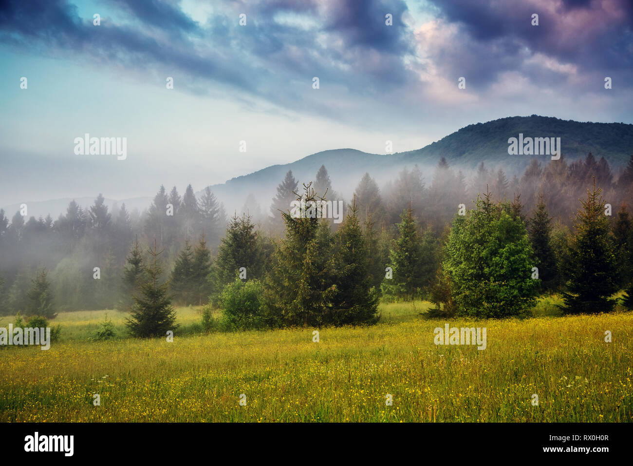 Gloomy morning with dramatic and picturesque scene. Location place ...