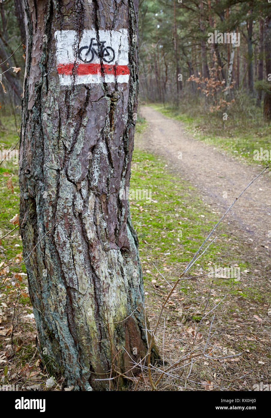 Nature cycle hi-res stock photography and images - Alamy