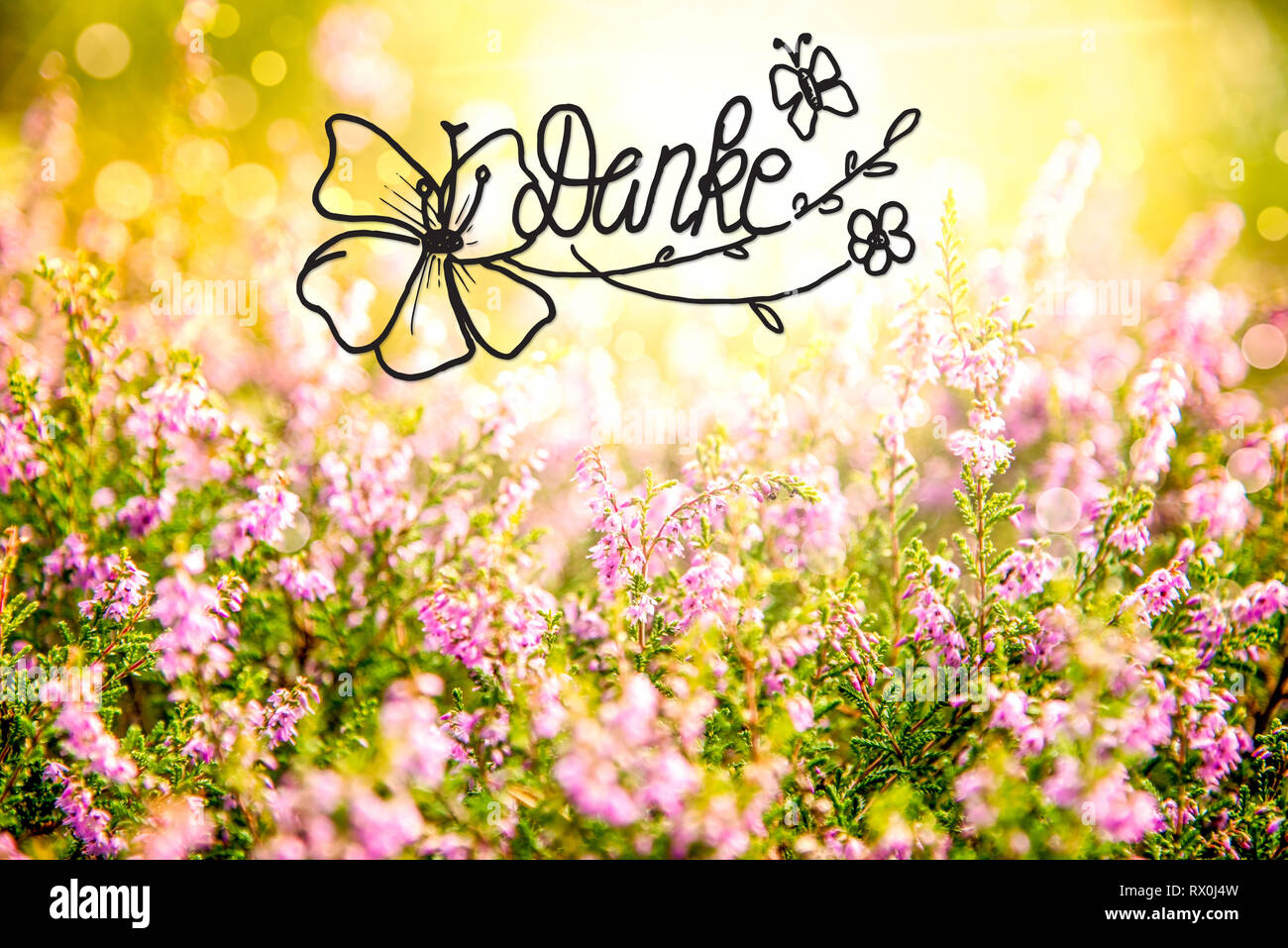 Erica Flower Field, Calligraphy Danke Means Thank You Stock Photo - Alamy