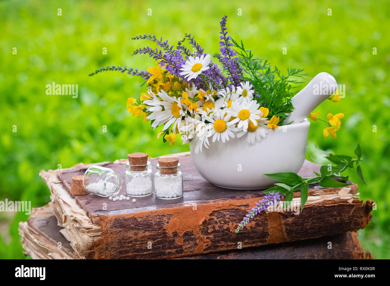 Mortar of healing herbs, bottles of homeopathic globules and old book ...