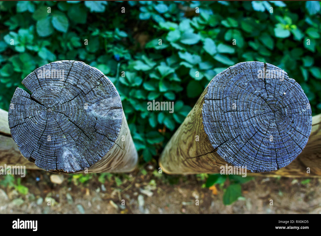 Logs Of Pillars High Resolution Stock Photography and Images - Alamy