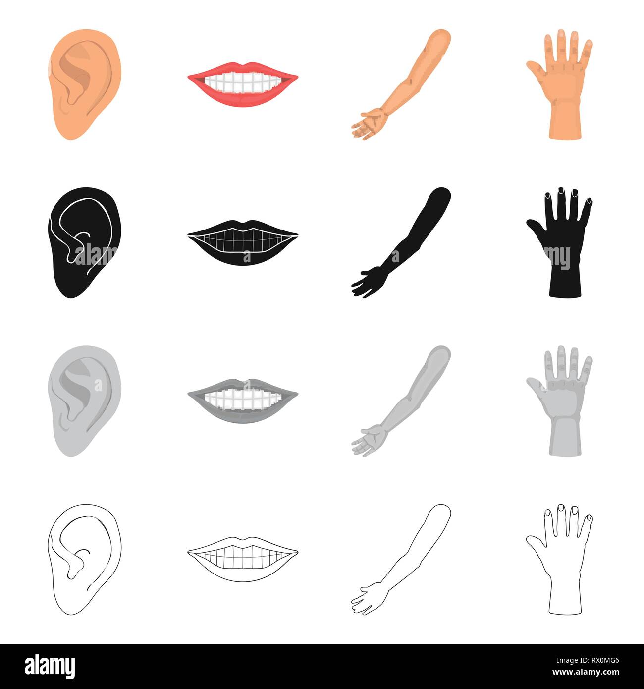 Vector illustration of body and part sign. Collection of body and ...