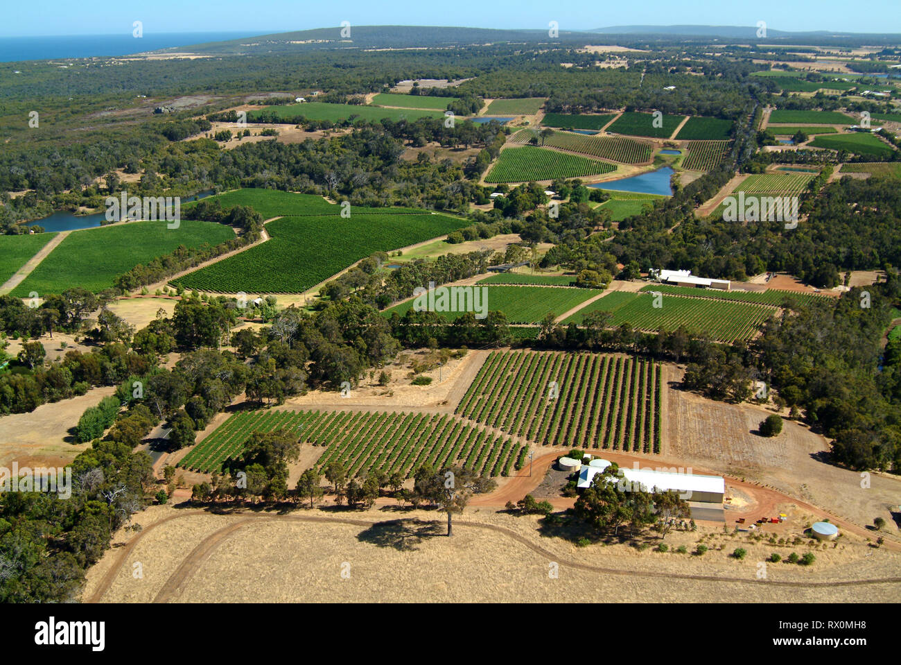 aerial, Ribbonvale vineyard, Yallingup, Western Australia Stock Photo ...