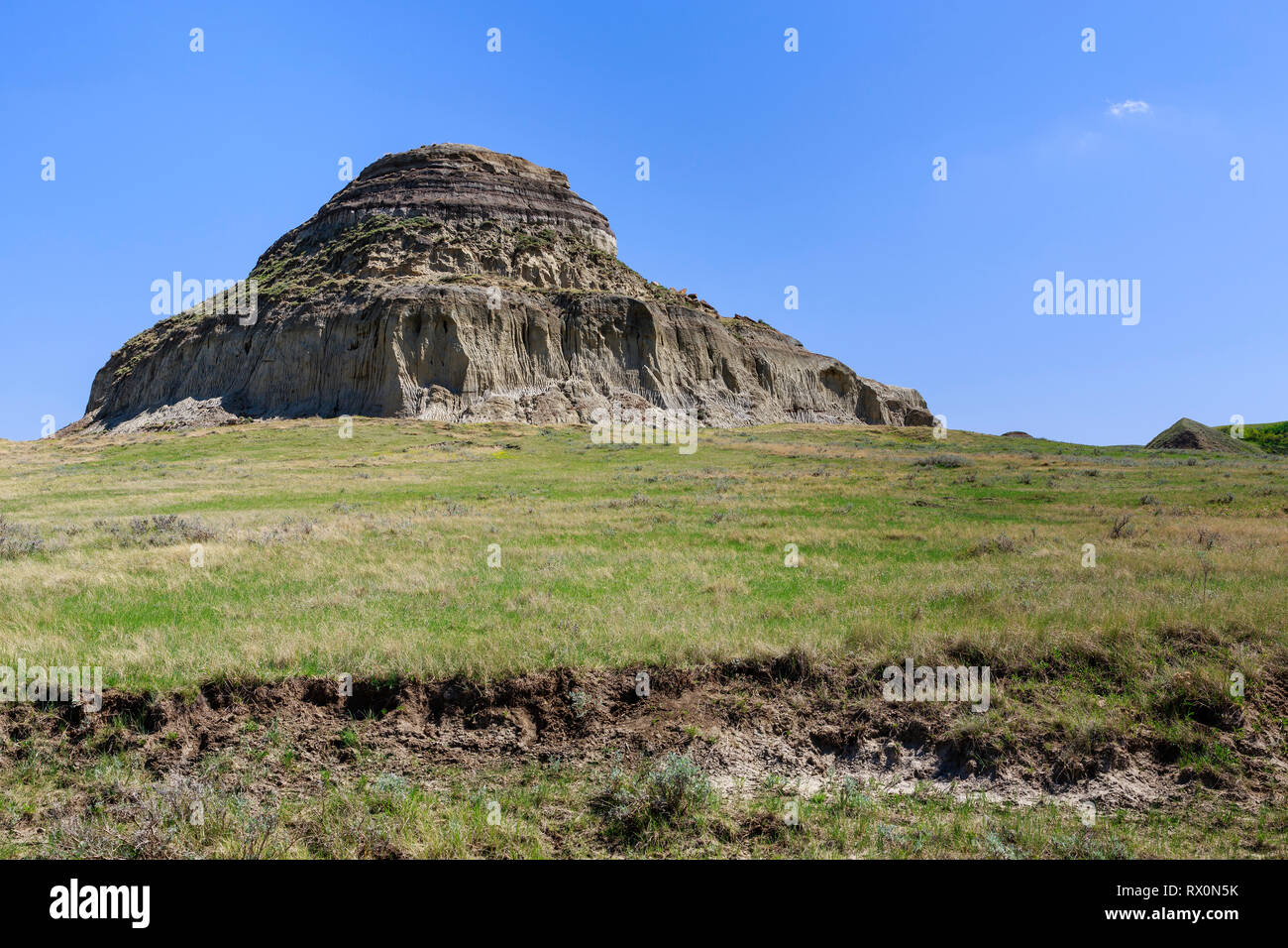 Ken gillespie hi-res stock photography and images - Alamy