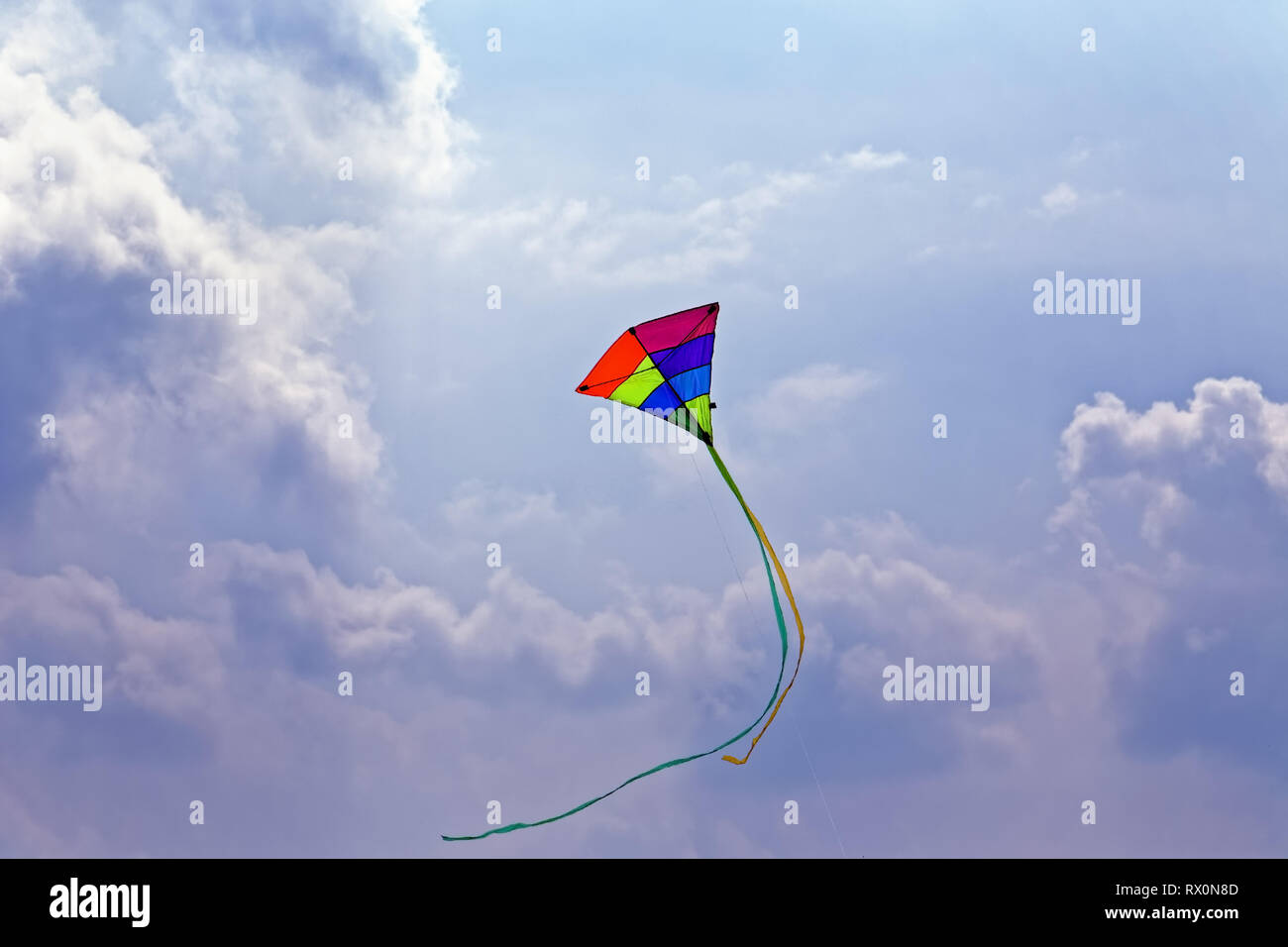 Curved tail hi-res stock photography and images - Alamy