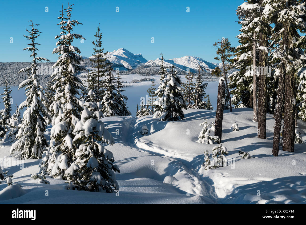 Mount Washington Alpine Resort, Vancouver Island, BC, Canada Stock ...