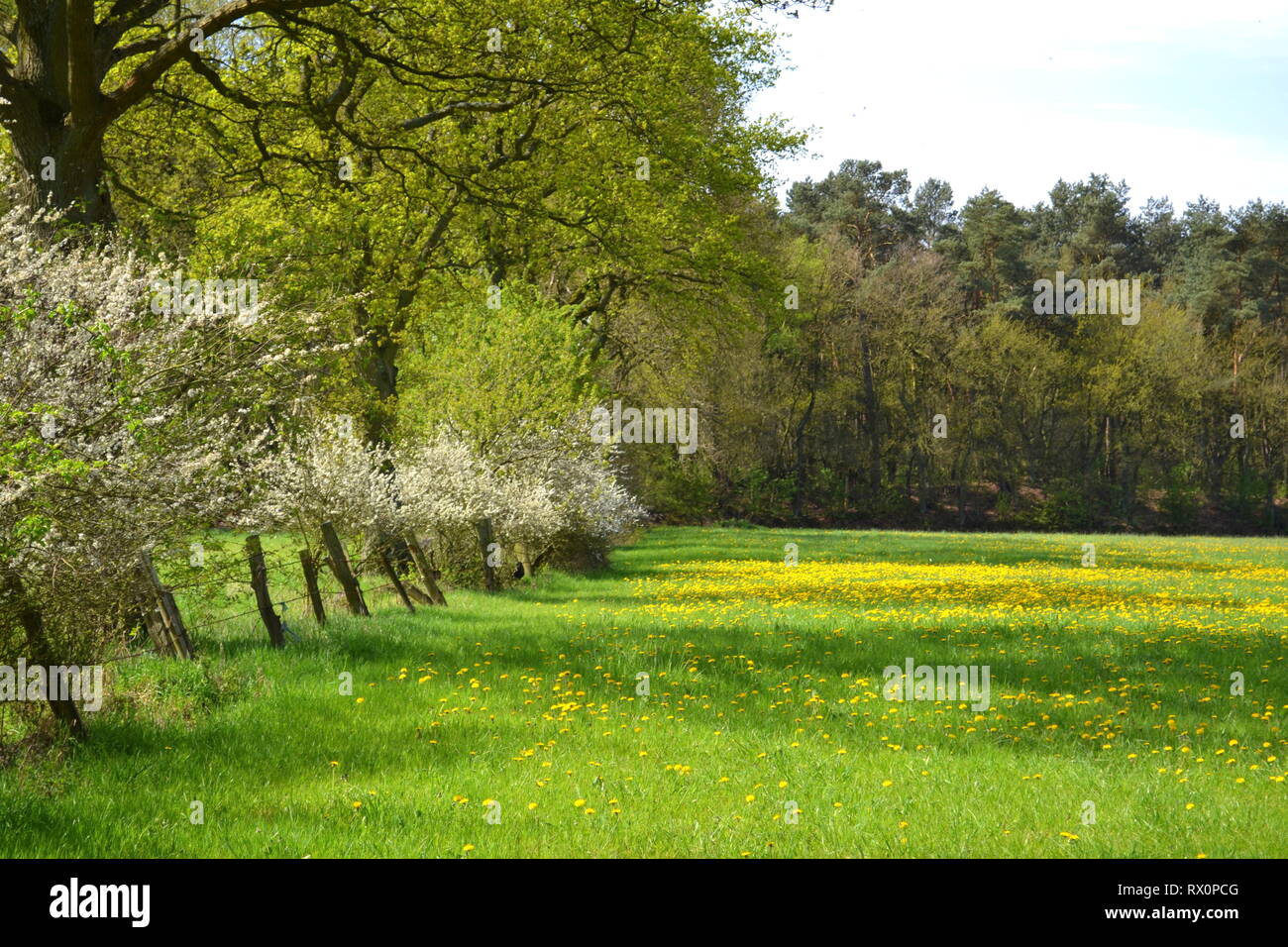 Reisen natur hi-res stock photography and images - Alamy