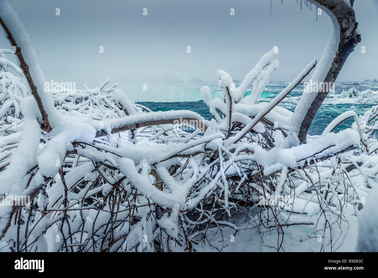 Snow Covered Trees at Niagara Falls Stock Photo - Alamy