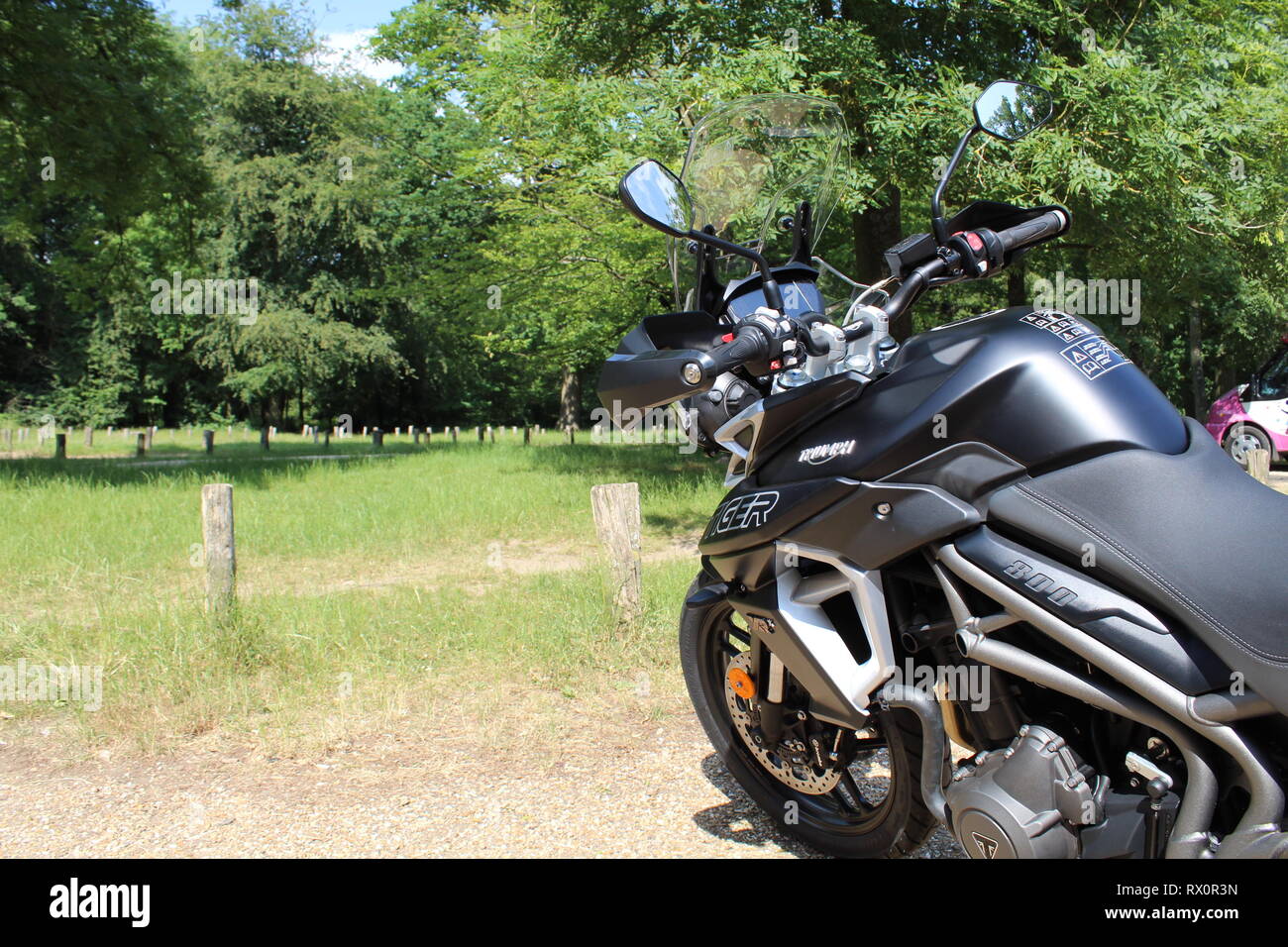 Triumph tiger hi-res stock photography and images - Alamy