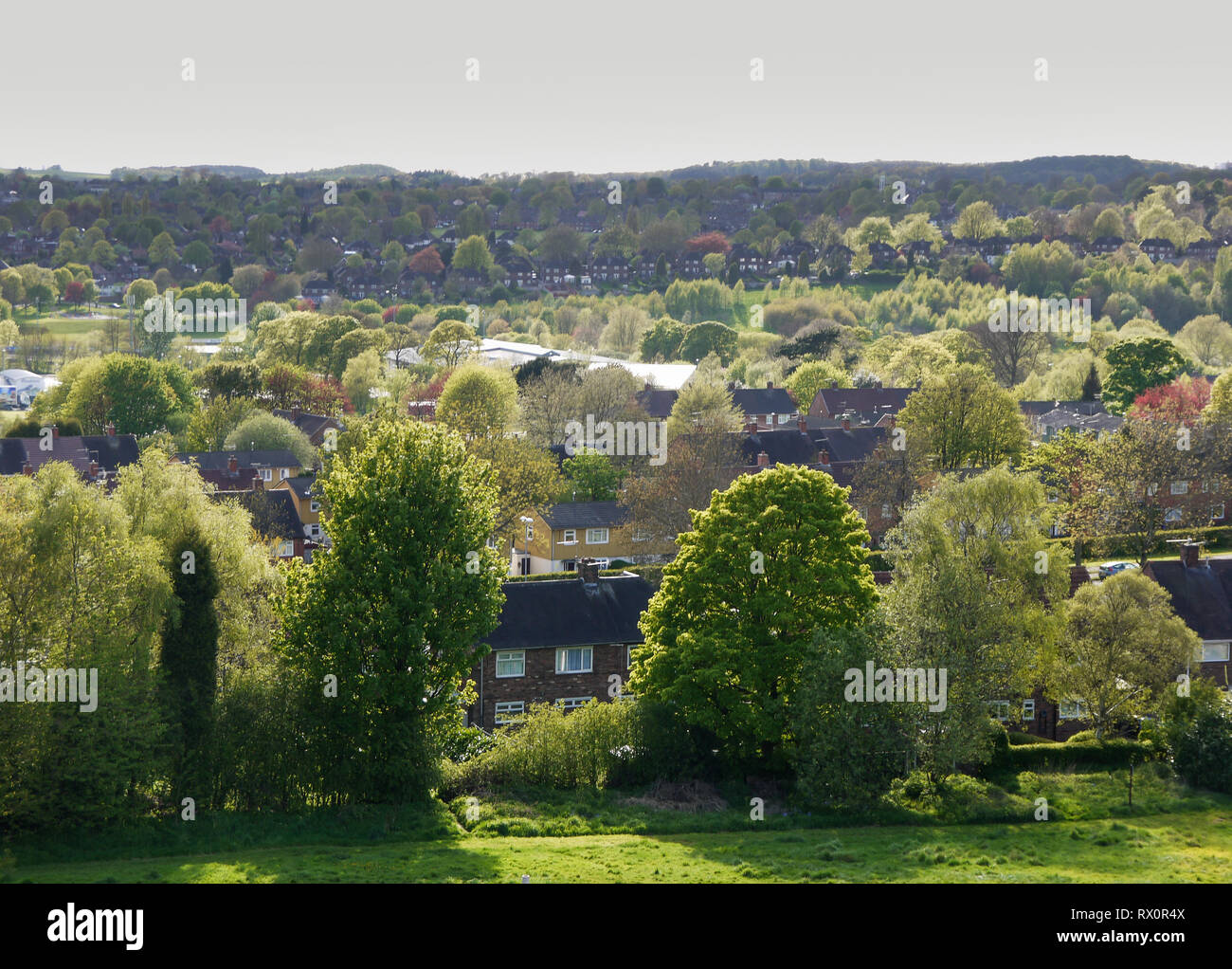 Thistley hi-res stock photography and images - Alamy