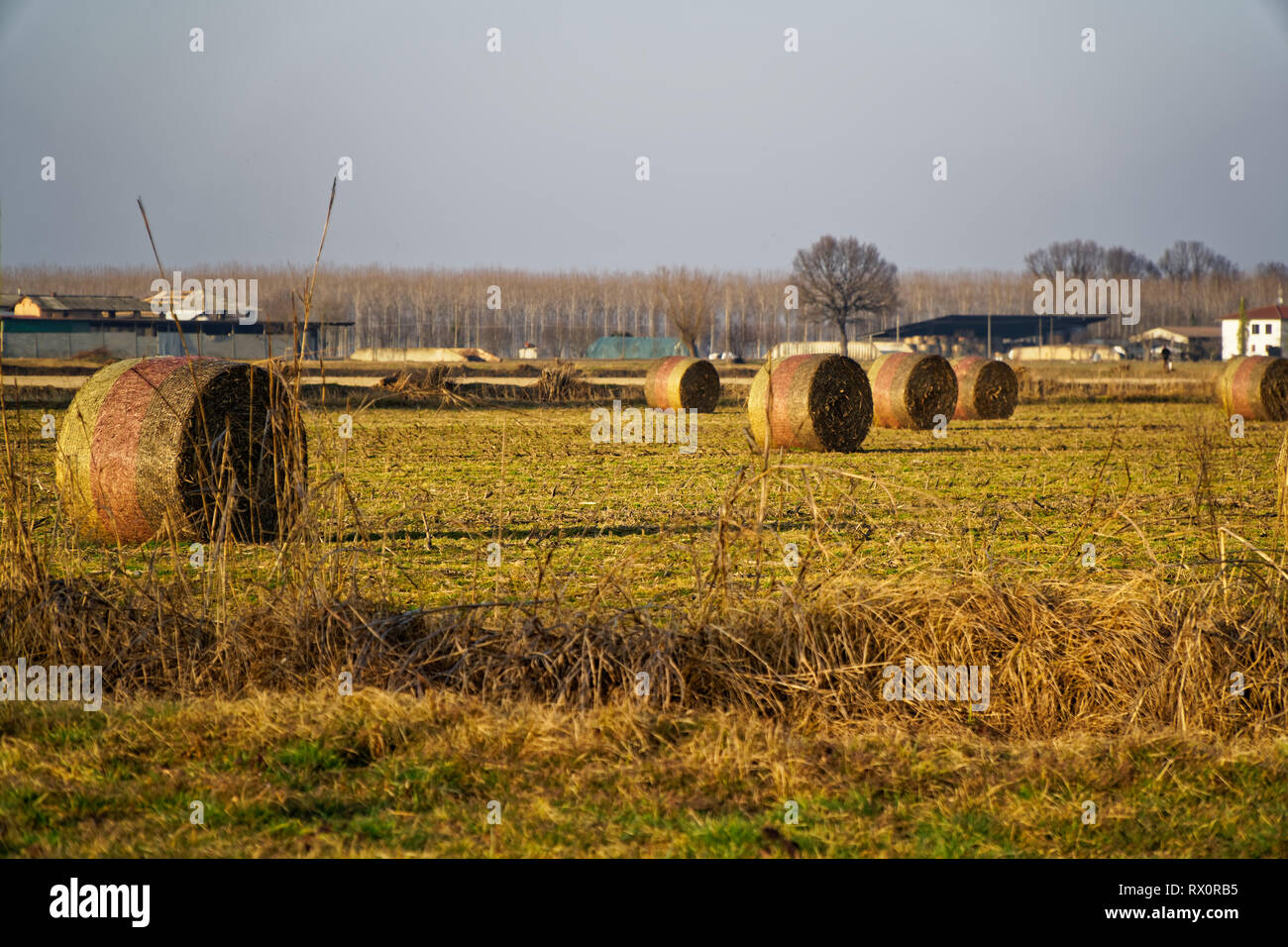 Roll bales hi-res stock photography and images - Alamy