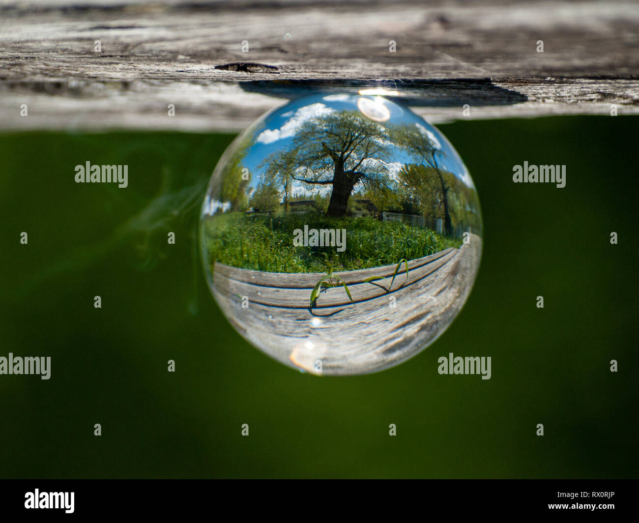 Bubble landscape hi-res stock photography and images - Alamy