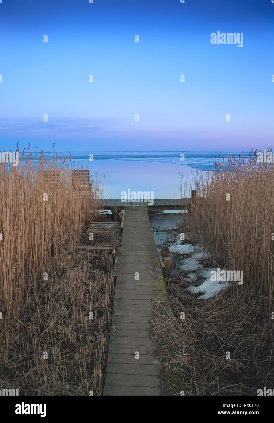 winter landscape at Ringkobing Fjord, Denmark Stock Photo - Alamy