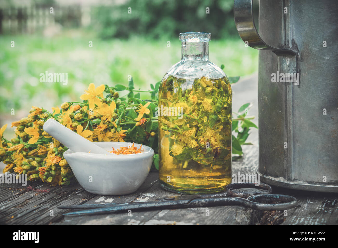 Hypericum perforatum oil hi-res stock photography and images - Alamy