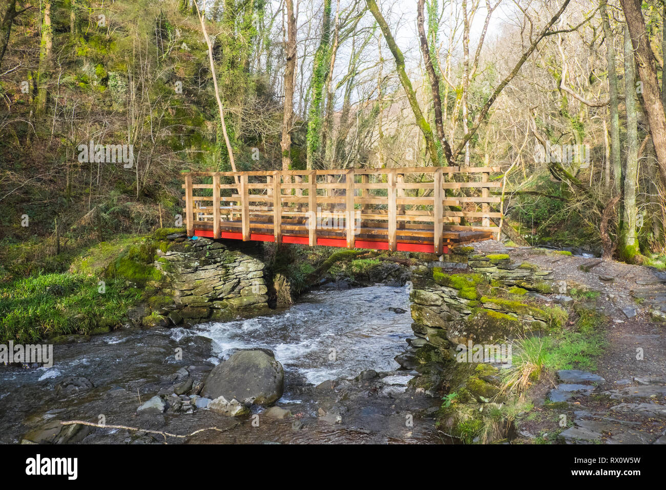 Celtic rainforest wales hi-res stock photography and images - Alamy