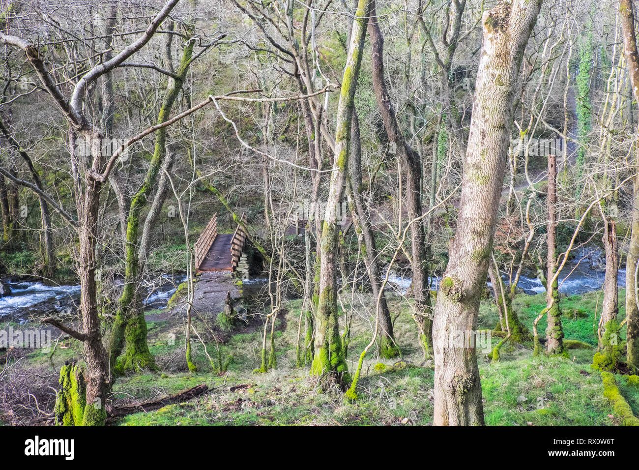 Celtic village wales hi-res stock photography and images - Alamy
