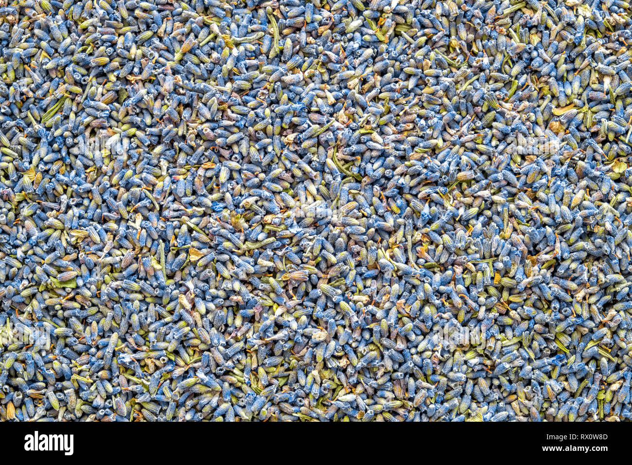 Background of dry lavender flowers, dried lavanda buds. Top view Stock ...