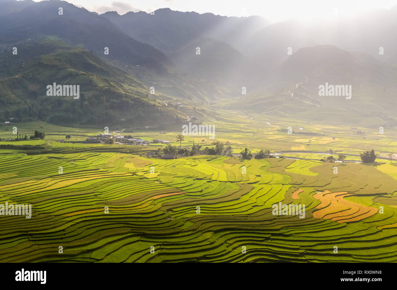 Valley of Rice Stock Photo - Alamy