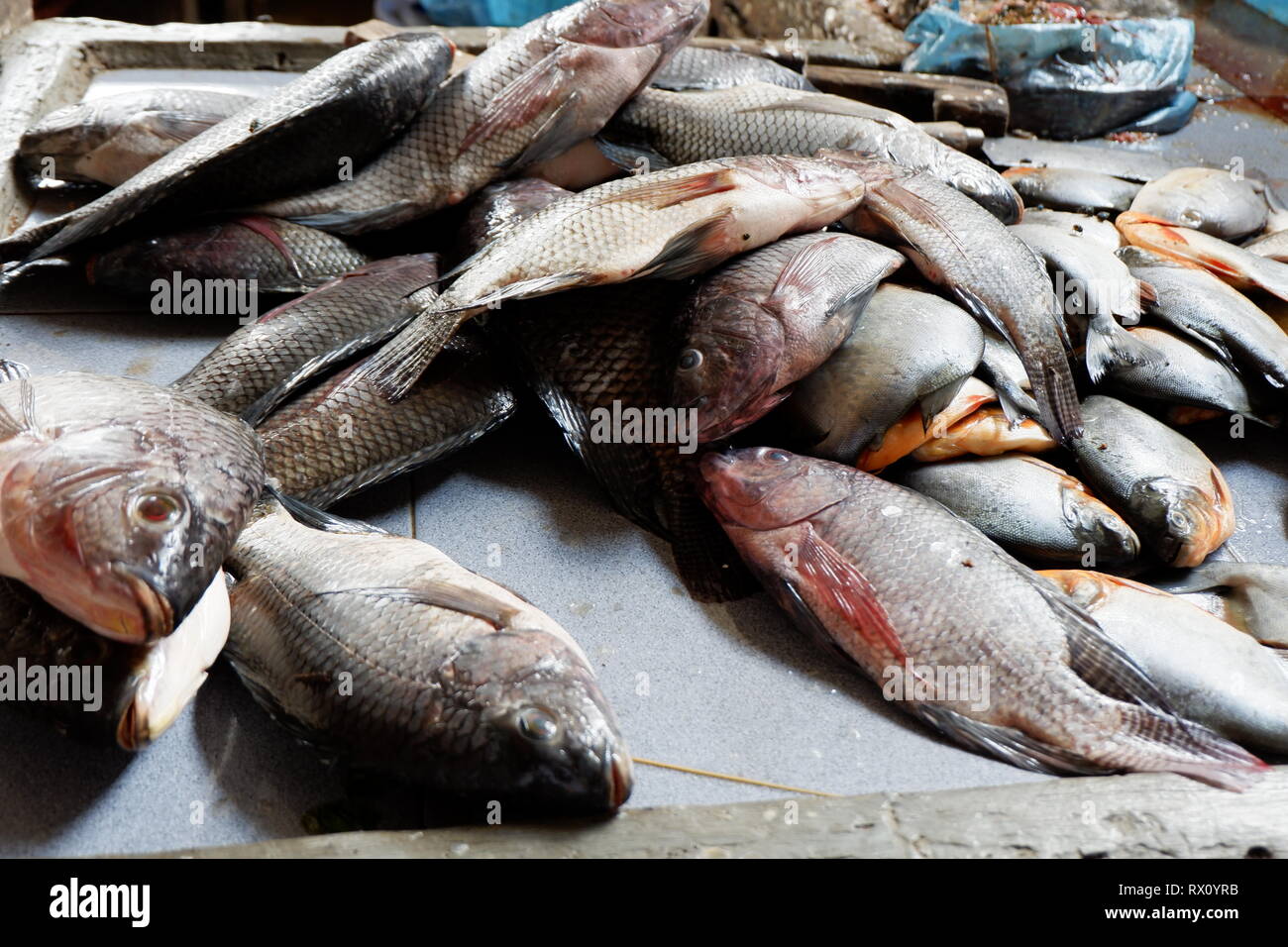 Fish sold on traditional hi-res stock photography and images - Alamy