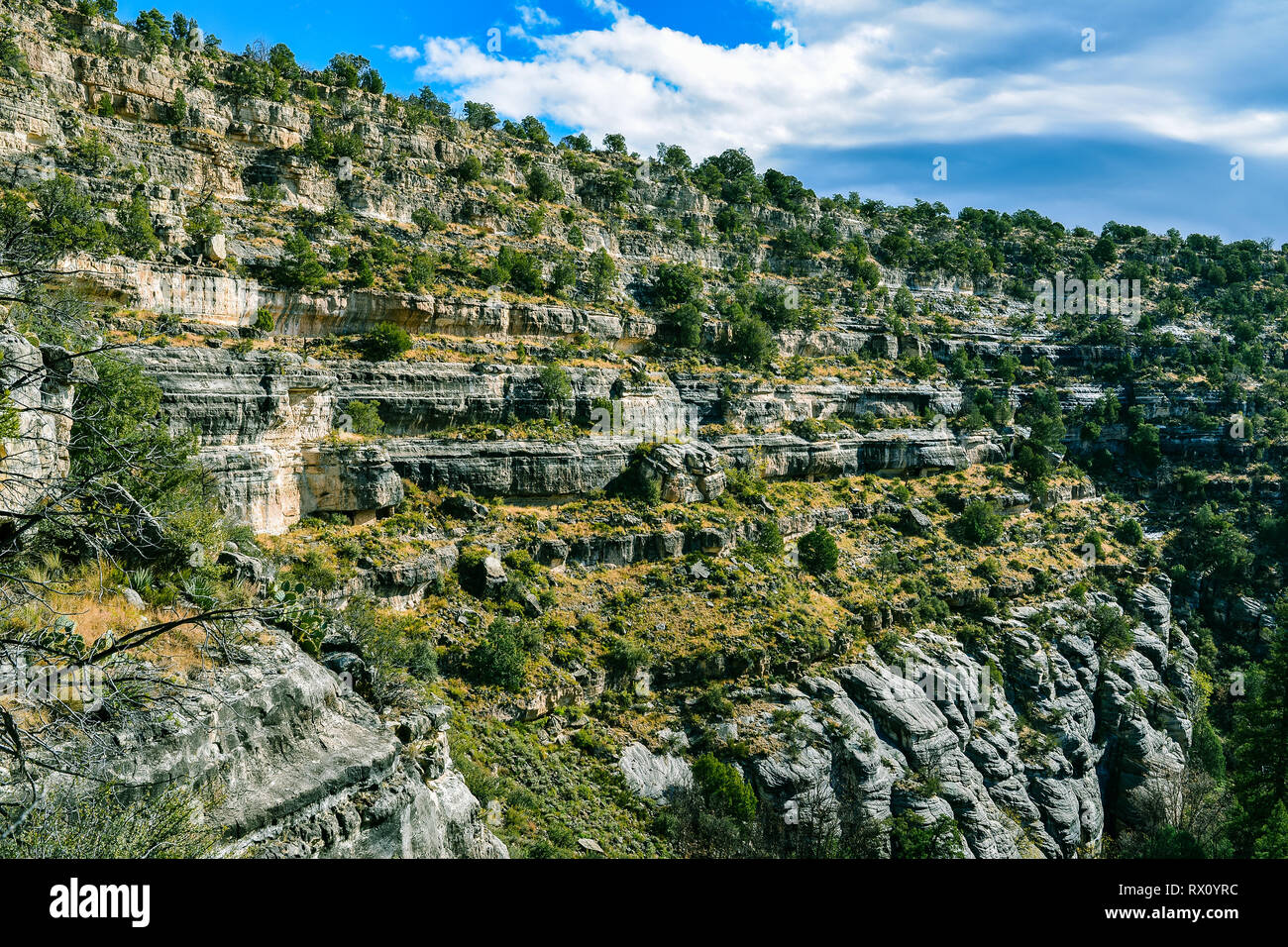 Walnut Canyon, near Flagstaff, Arizona Stock Photo - Alamy