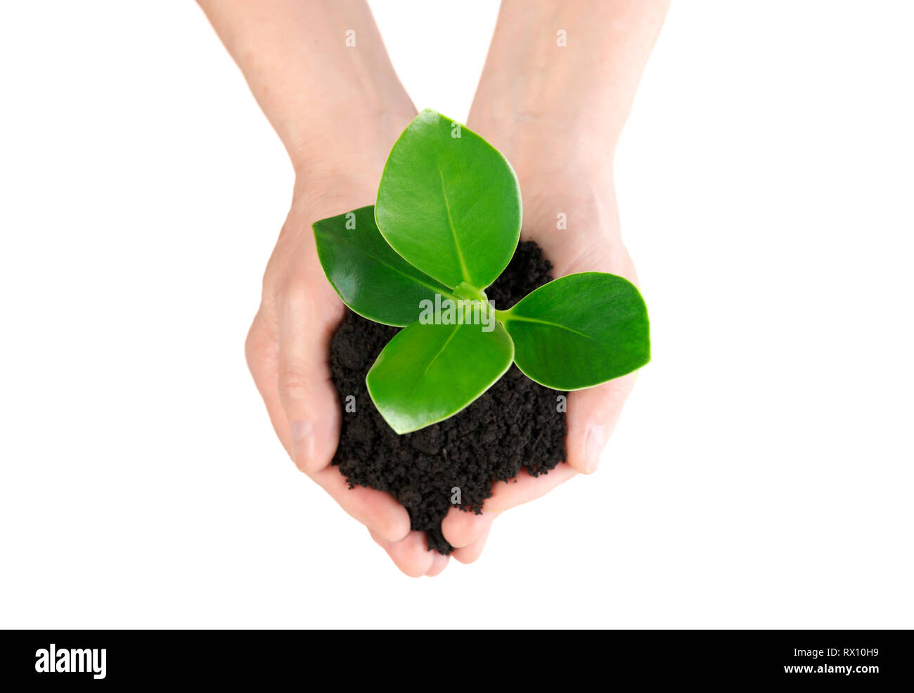 Life origins hi-res stock photography and images - Alamy