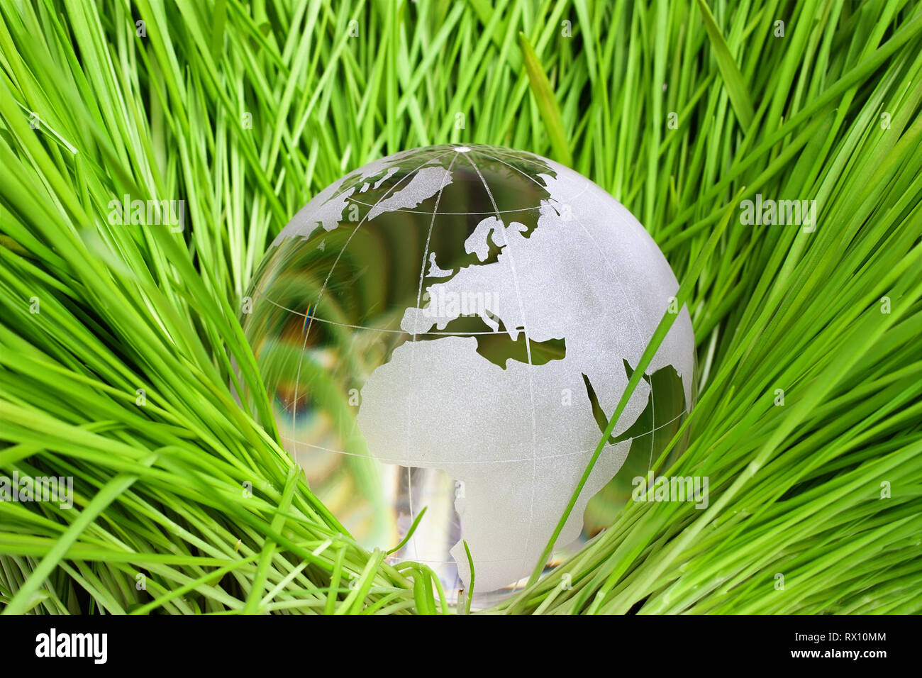 Earth in green grass Stock Photo - Alamy