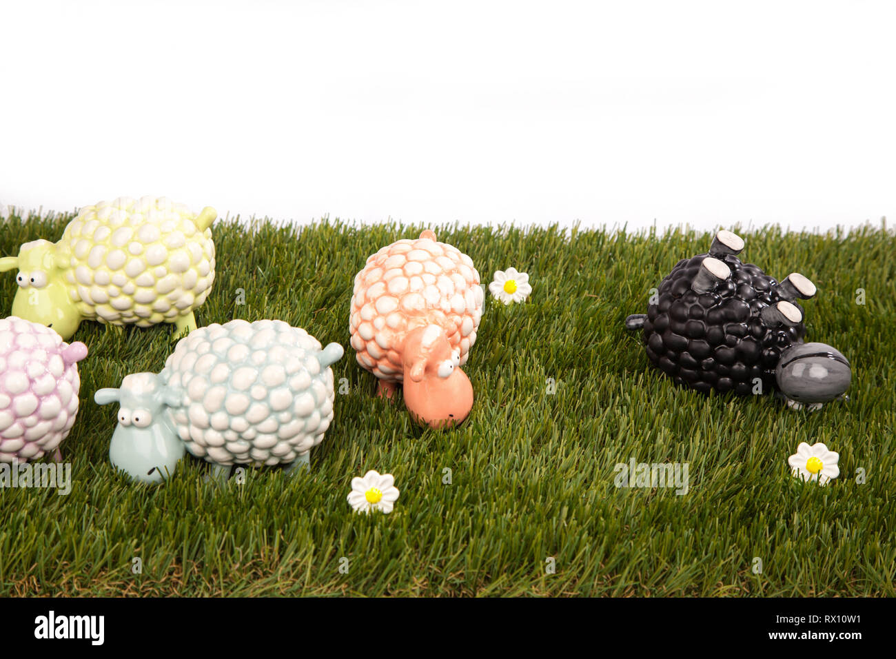Black sheep on back in scene amongst colourful sheep Stock Photo - Alamy
