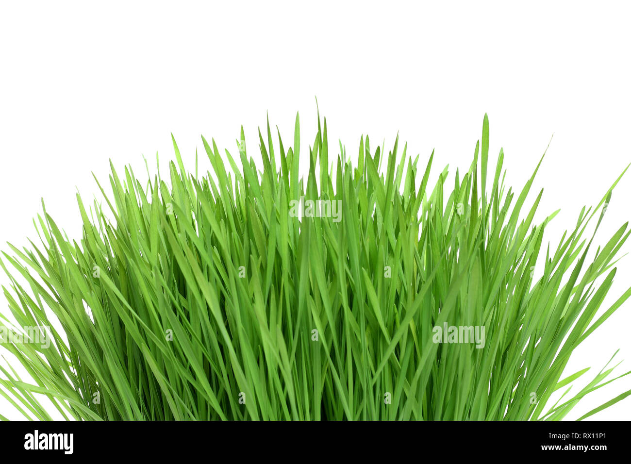 Green grass isolated Stock Photo - Alamy