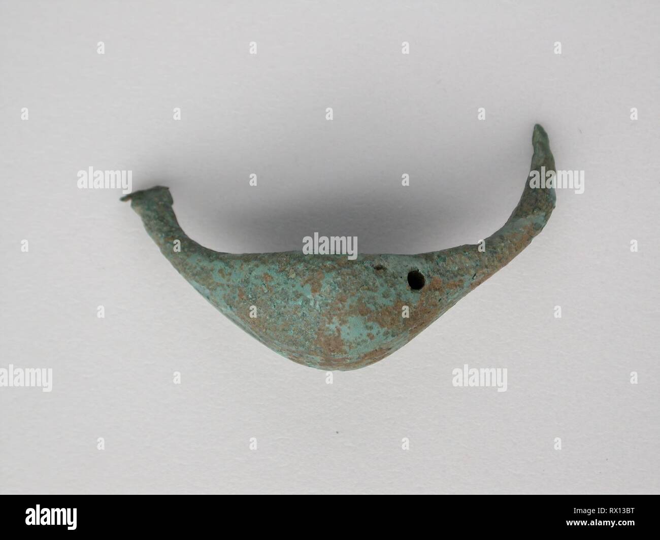 Leech fibula hi-res stock photography and images - Alamy