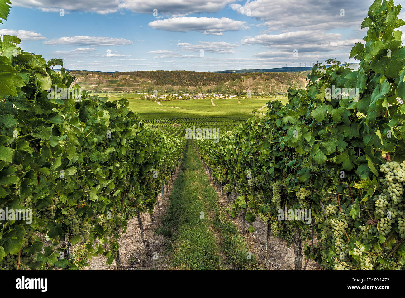 Leiwen hi-res stock photography and images - Alamy