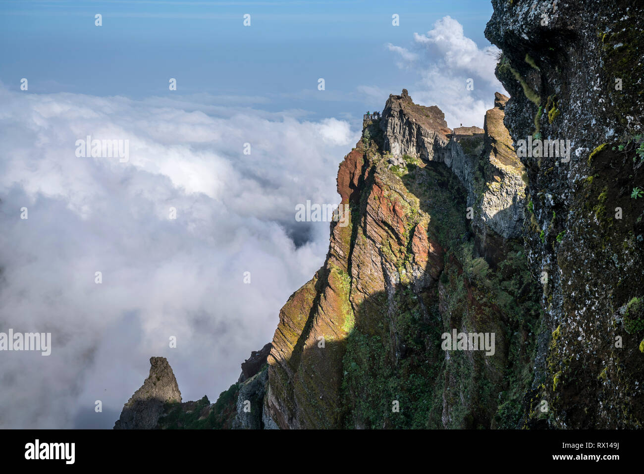 Aussichtspunkt hoch in Madeiras Zentralmassiv, Madeira, Portugal ...