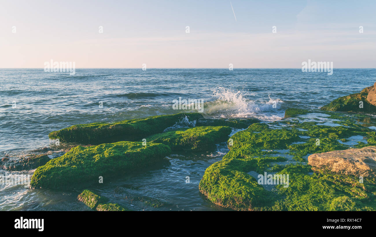 Colorful sea shore with green algae, splashing waves Stock Photo - Alamy