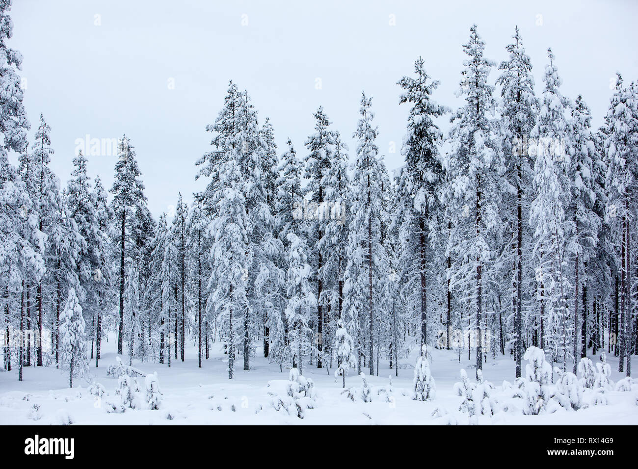 Vintage finland family hi-res stock photography and images - Alamy
