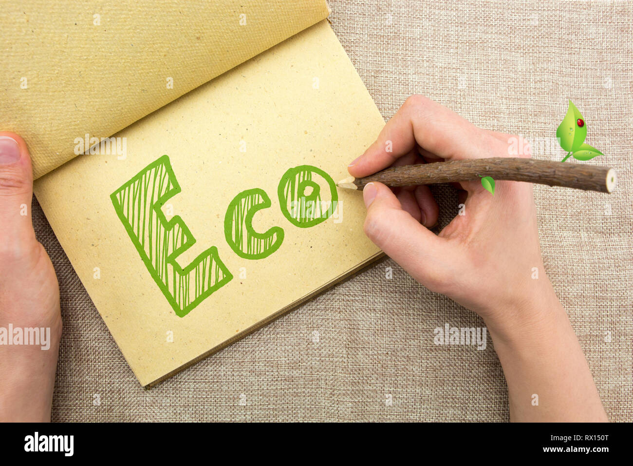 Leaves concept pencil tree hi-res stock photography and images - Alamy