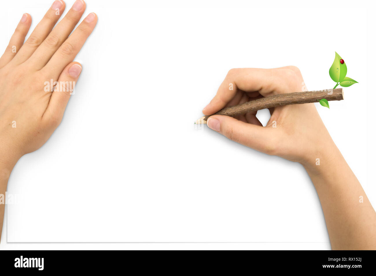 Hands with tree trunk pencil drawing and white shee Stock Photo - Alamy