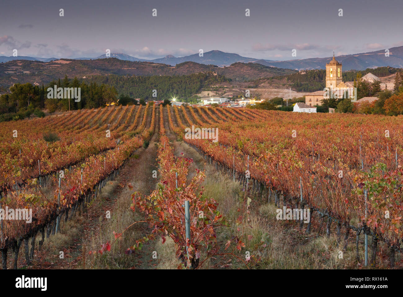 Row of grape vine with church hi-res stock photography and images - Alamy