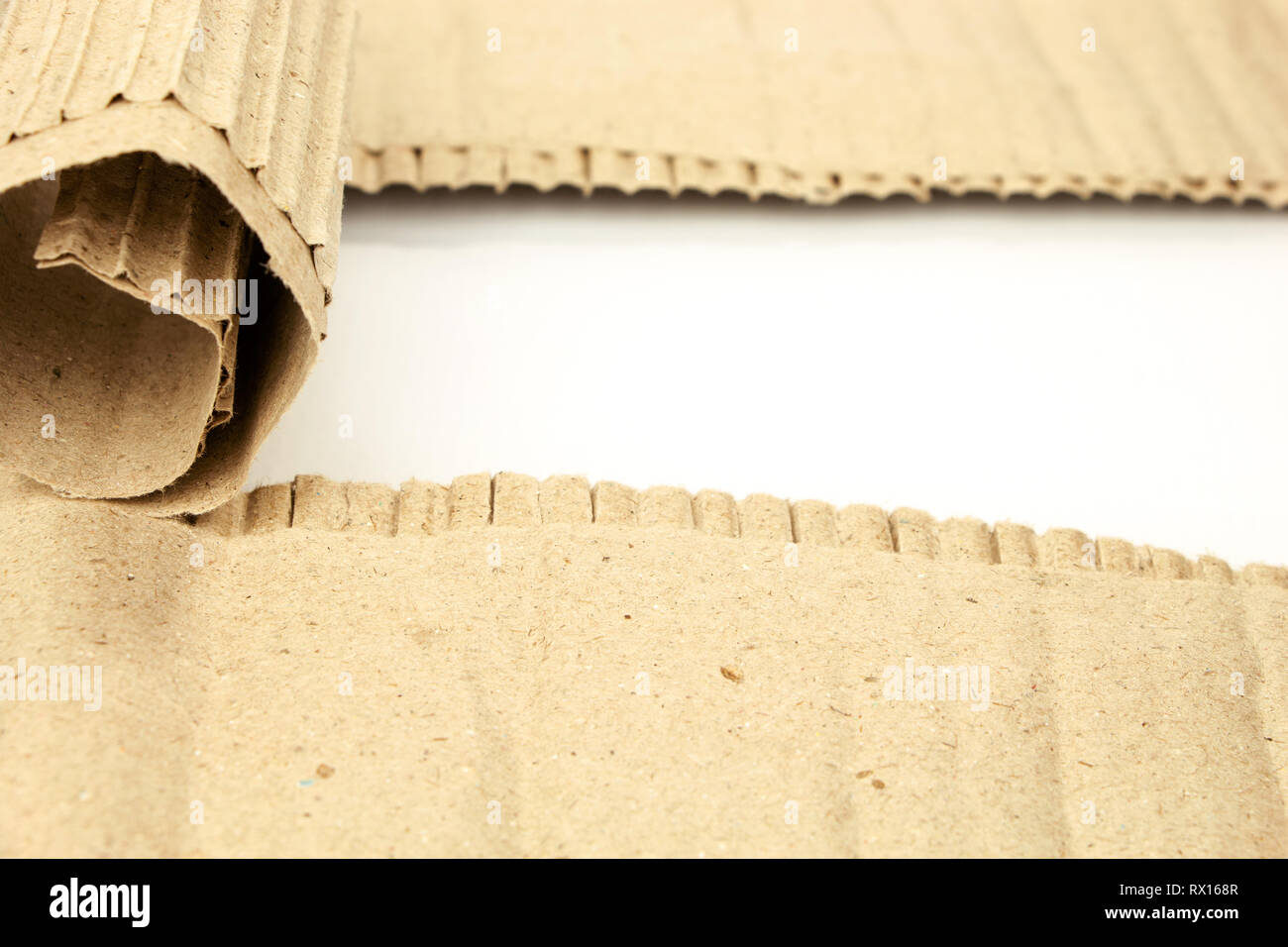 Torn cardboard sheet with place for text isolated on white Stock Photo ...