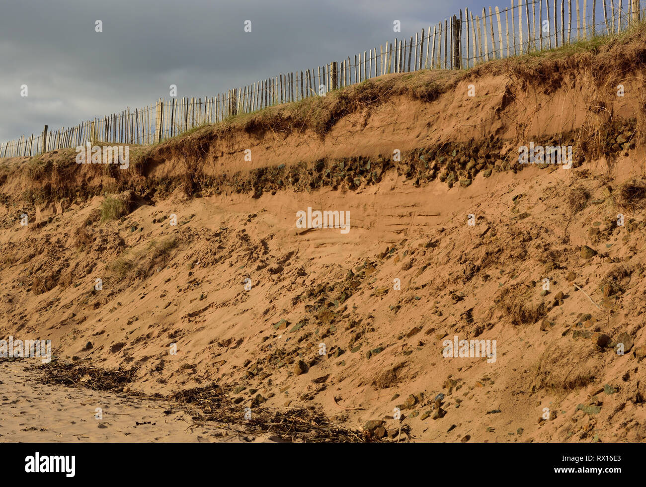 Eroded sand dunes on the beach at Dawlish Warren Stock Photo - Alamy