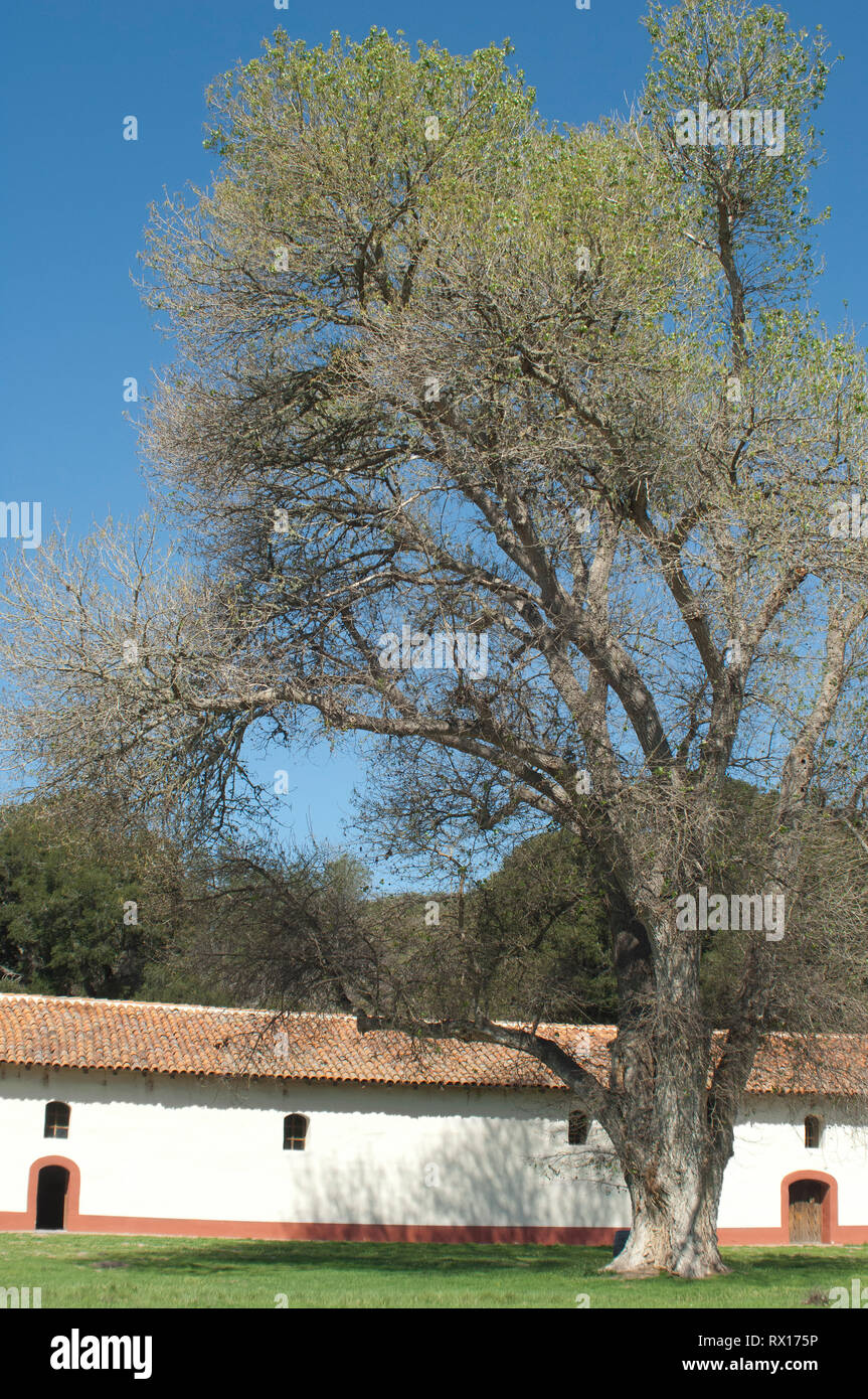 Mission la purisima hi-res stock photography and images - Alamy