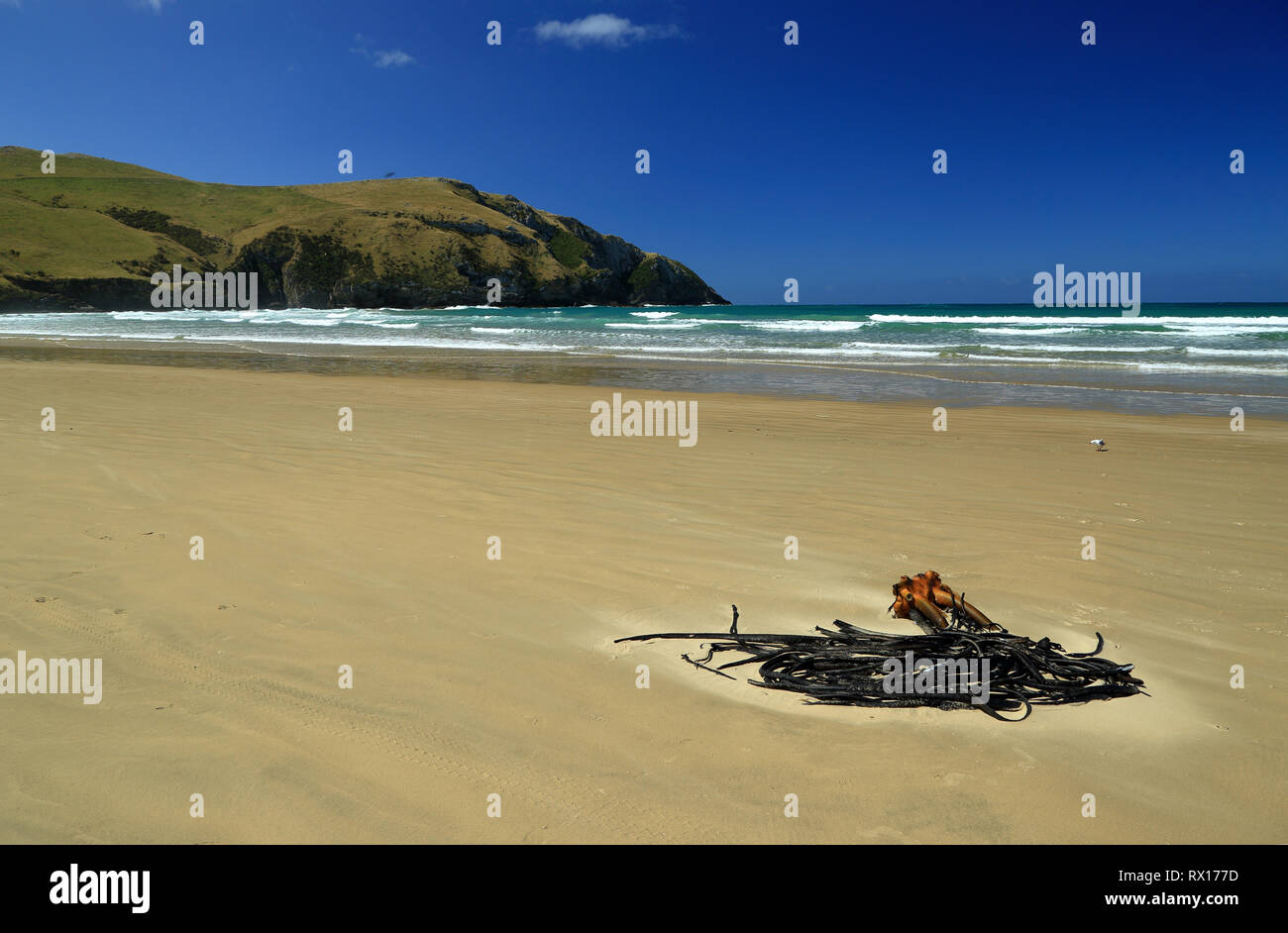 Cannibal bay beach hi-res stock photography and images - Alamy