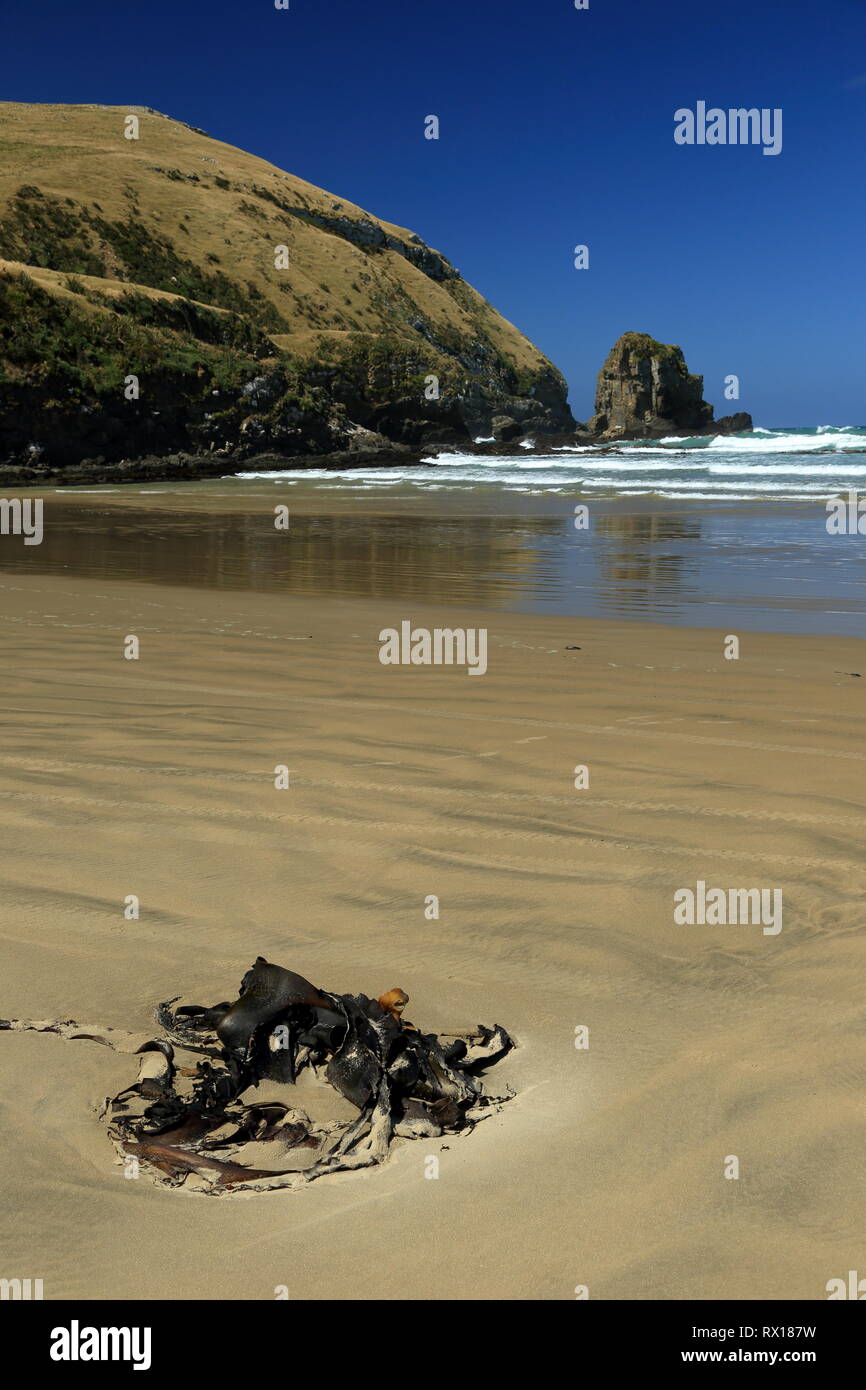 Cannibal bay beach hi-res stock photography and images - Alamy