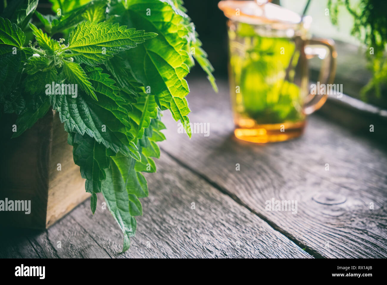 Bunch of a nettle plants in a wooden box and glass of healthy nettle ...