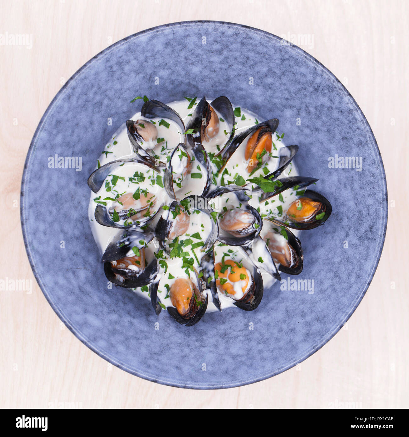 Restaurant dish. Fried mussels in the shell and in cream sauce Stock ...