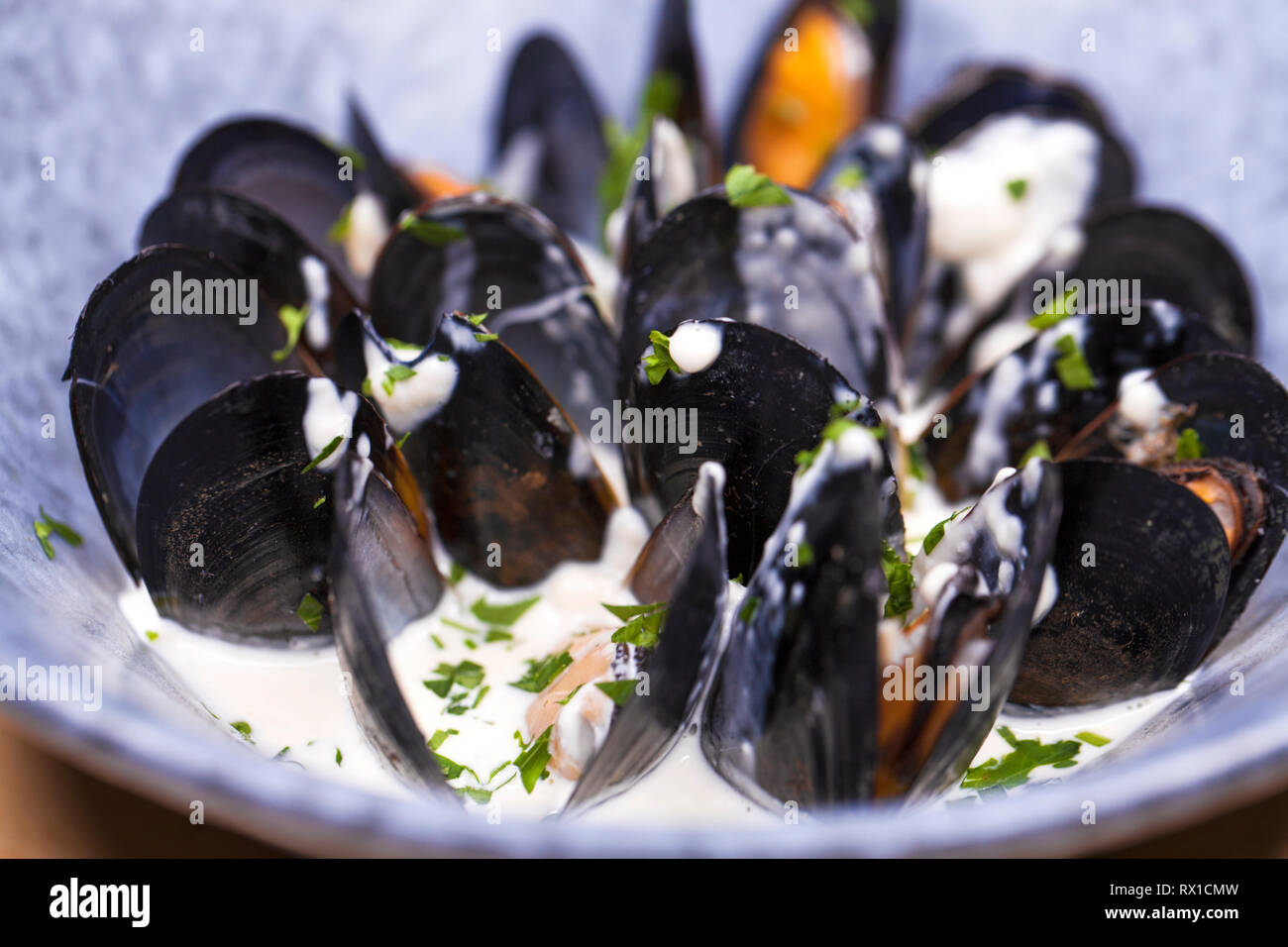 Restaurant dish. Fried mussels in the shell and in cream sauce Stock ...