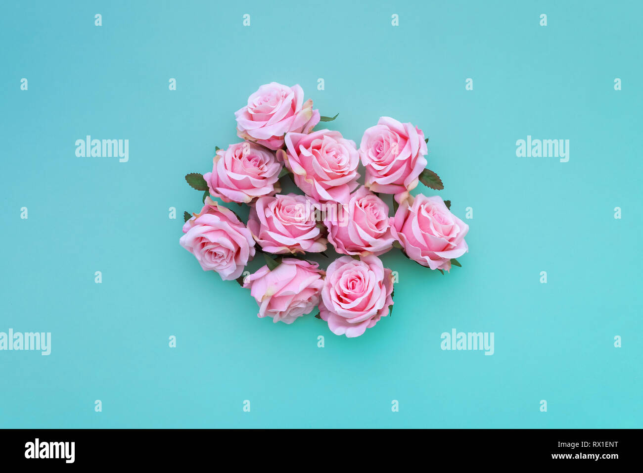 Turquoise rose hi-res stock photography and images - Alamy